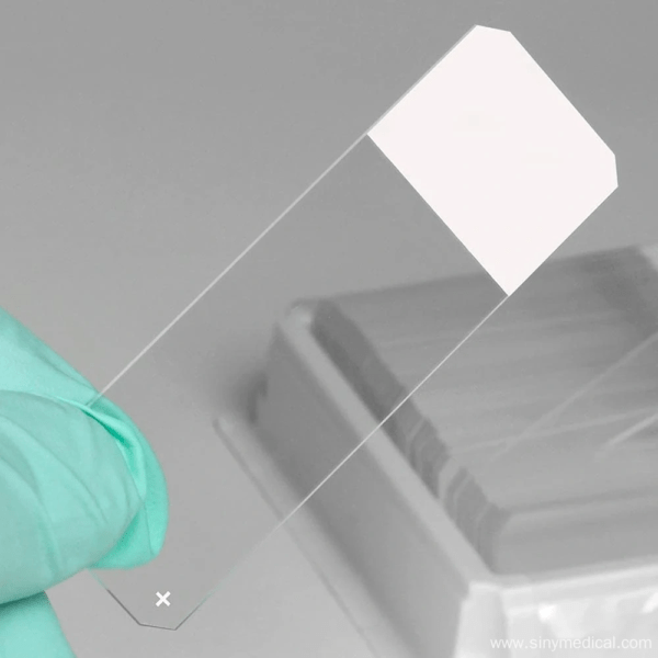 Guide to Microscope Glass Slides: Types and Uses