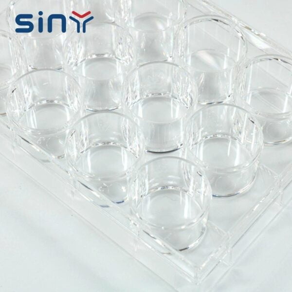 Discover the Best Cell Culture Plates for Accurate Cell Analysis