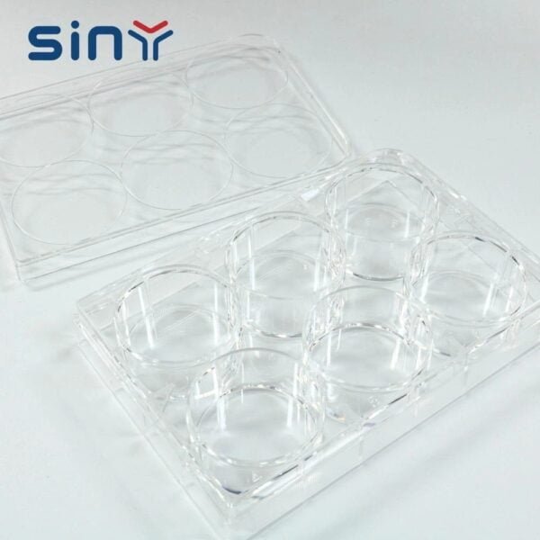 96 Well Tissue Culture Plates: Lab Essential Guide