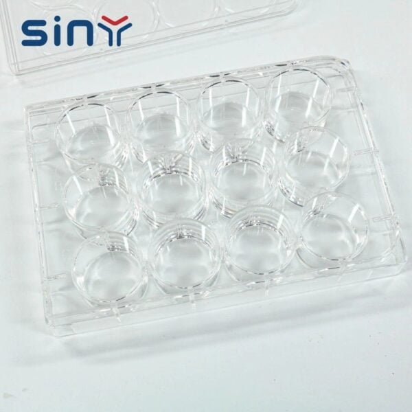 What is a Cell Culture Plate? Types, Uses & Complete Guide