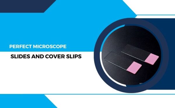 Microscope Slides and Cover Slips: Techniques for Perfection