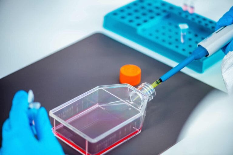 What Are the Flasks Used in Cell Culture, Features, and Uses