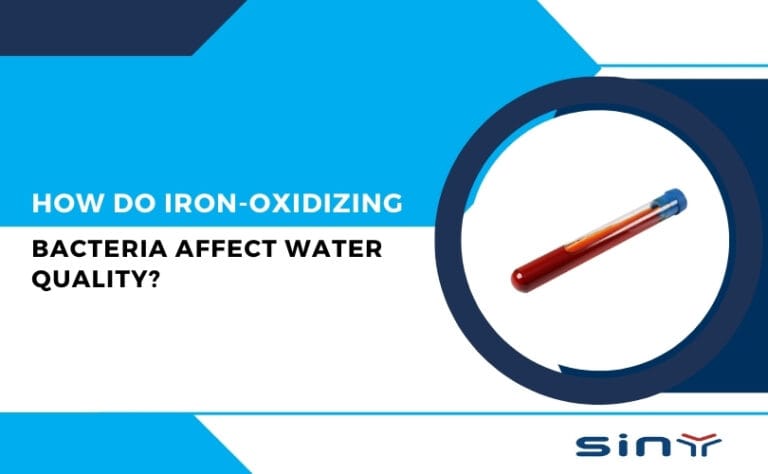 Iron Oxidizing Bacteria: How They Work and Why They Matter Iron Oxidizing Bacteria: How They Work and Why They Matter