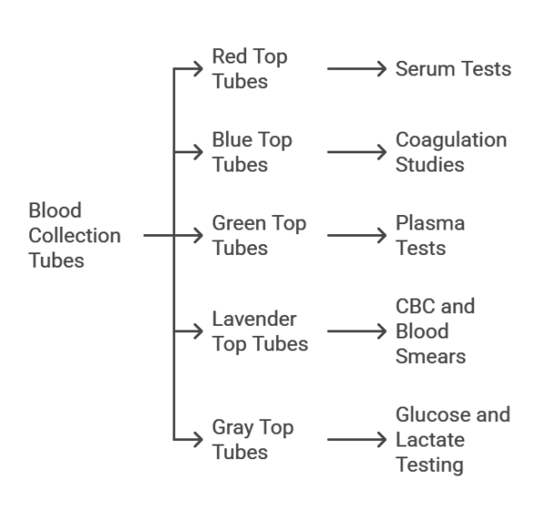 Importance of Proper Blood Collection Tube Usage
