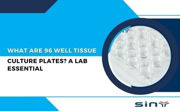 96 Well Tissue Culture Plates: Lab Essential Guide